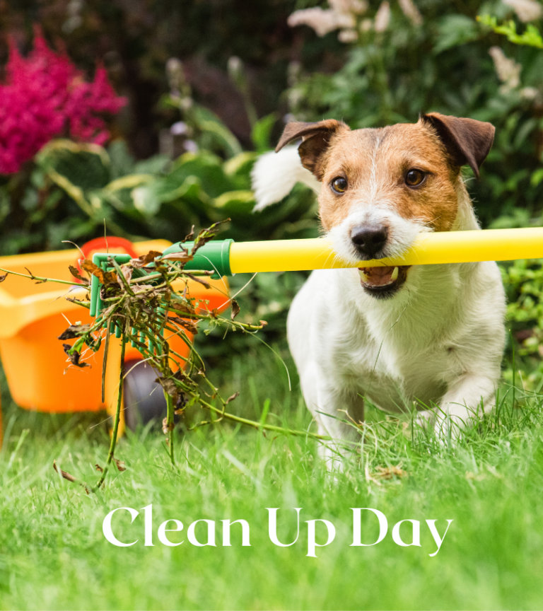 Inclusive Presbyterian Church in Alexandria, VA | OPMH